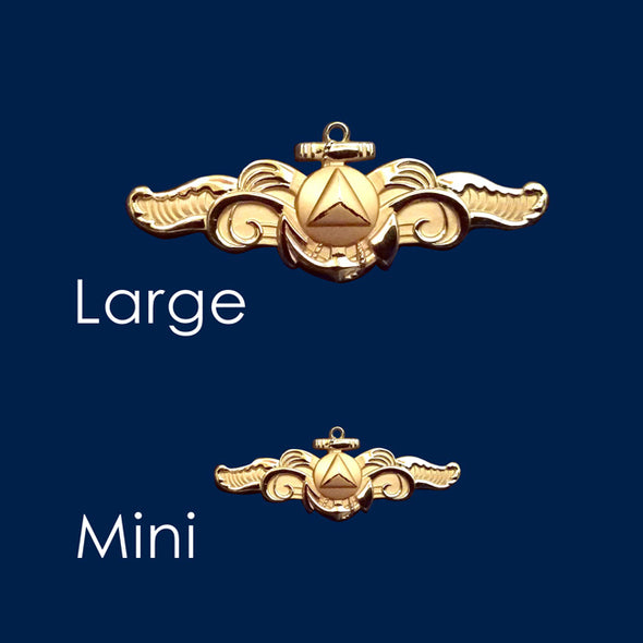 NOAA Metal Pin Badges – NOAAstore.com